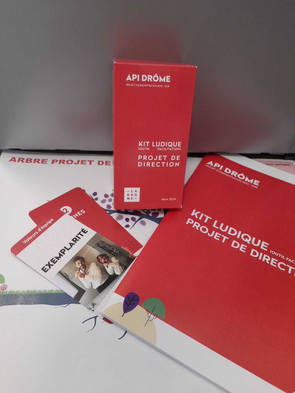 Le KIT Ludique Projet de Direction - Héros Territoriaux